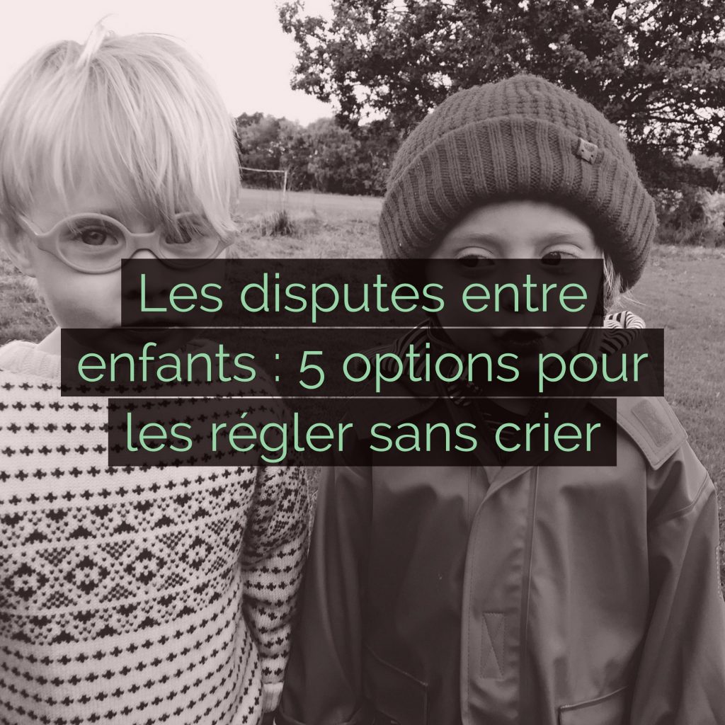 Les disputes entre enfants : 5 options pour les régler sans crier ...