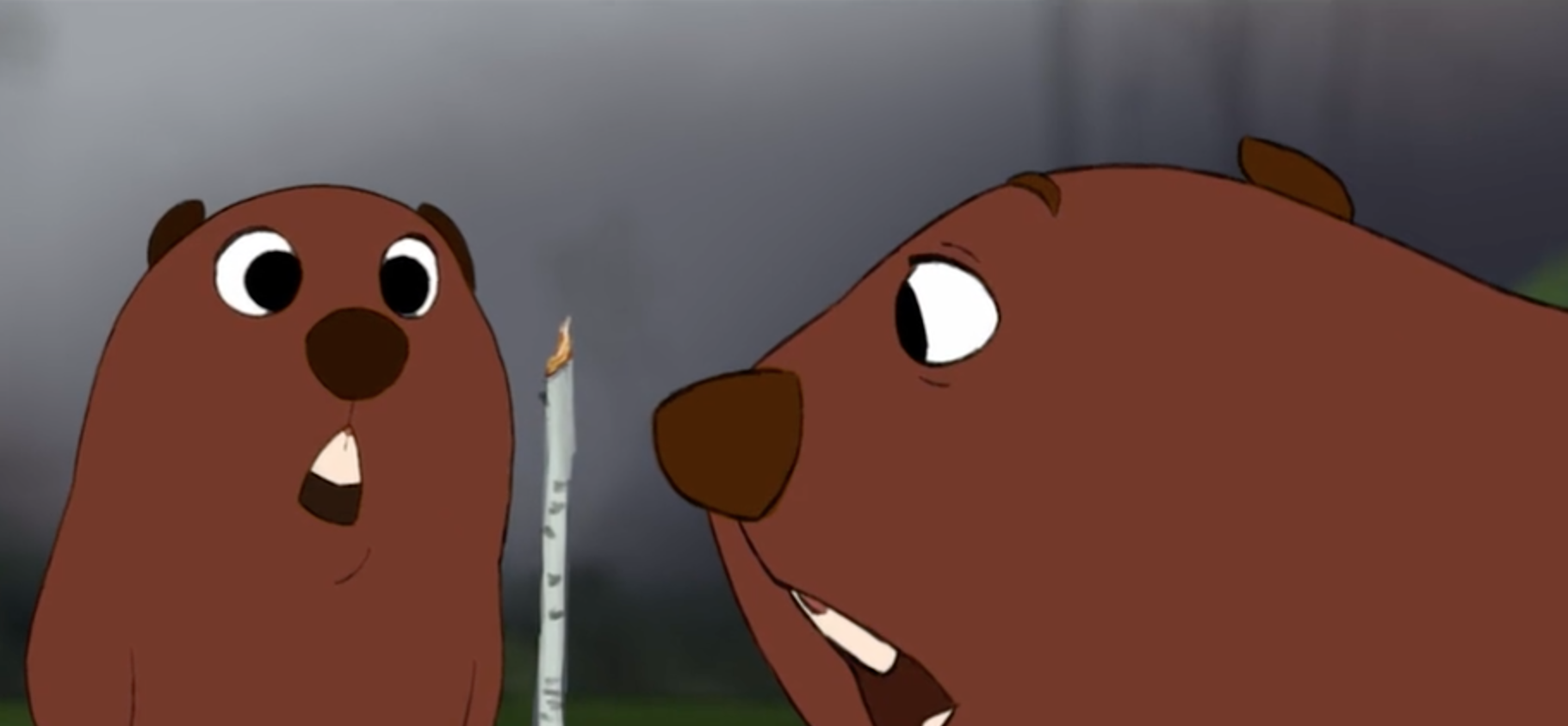 Instant mignon : ce bébé castor va vous faire fondre - Papa positive