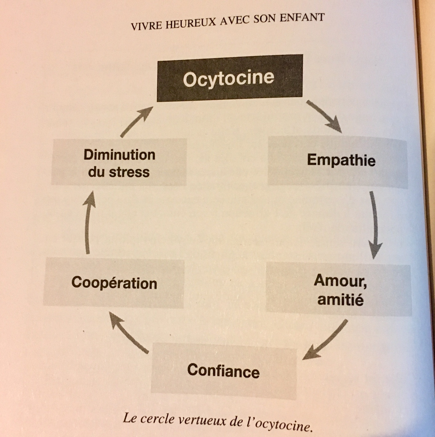 L'ocytocine : le rôle essentiel de cette "hormone de l'amour" dans l ...