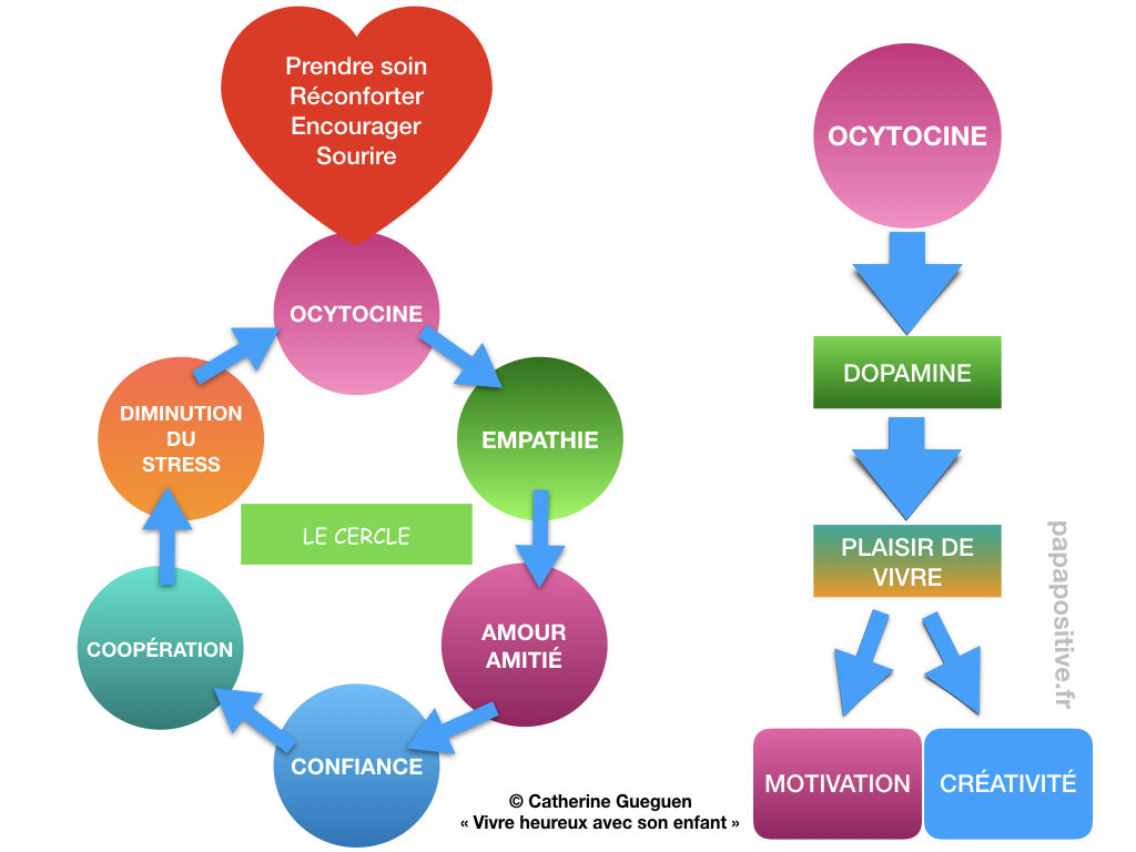 ocytocine – Papa positive