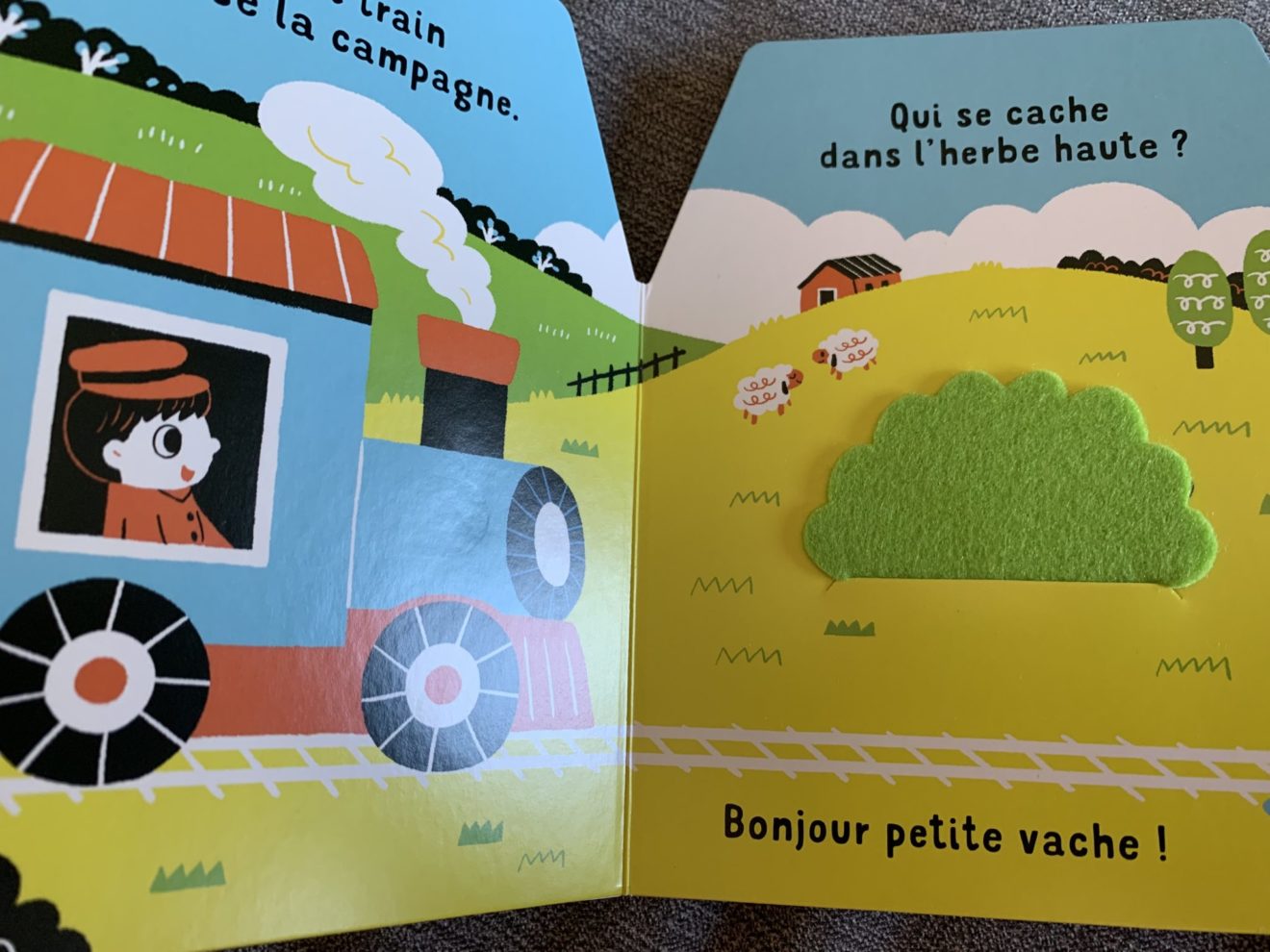 Cache-cache feutrine : des livres d’éveil pour les tout-petits (dès 6 mois) - Papa positive