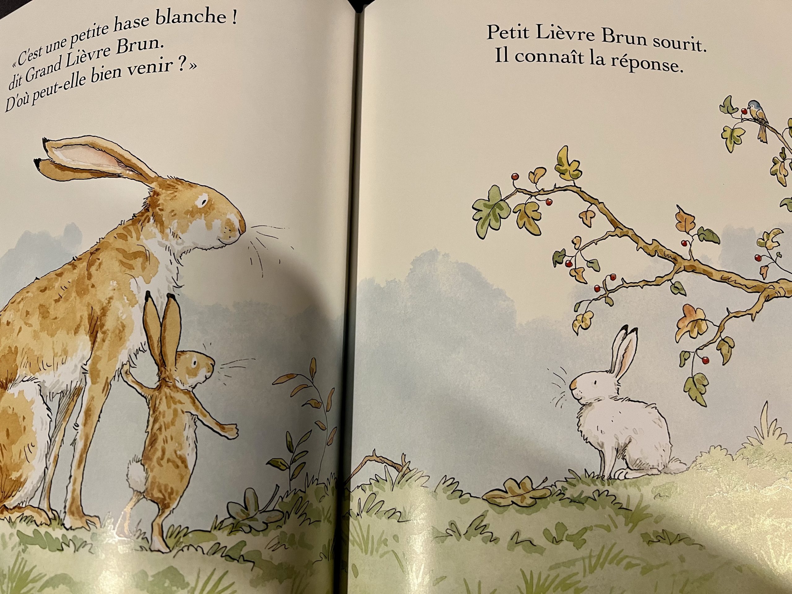 Veux-tu être mon ami ? - Papa positive