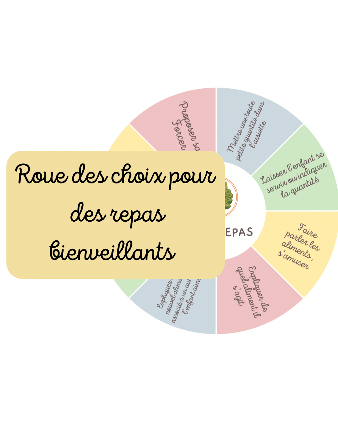 Roue des choix pour des repas plus tranquilles avec les enfants - Papa ...