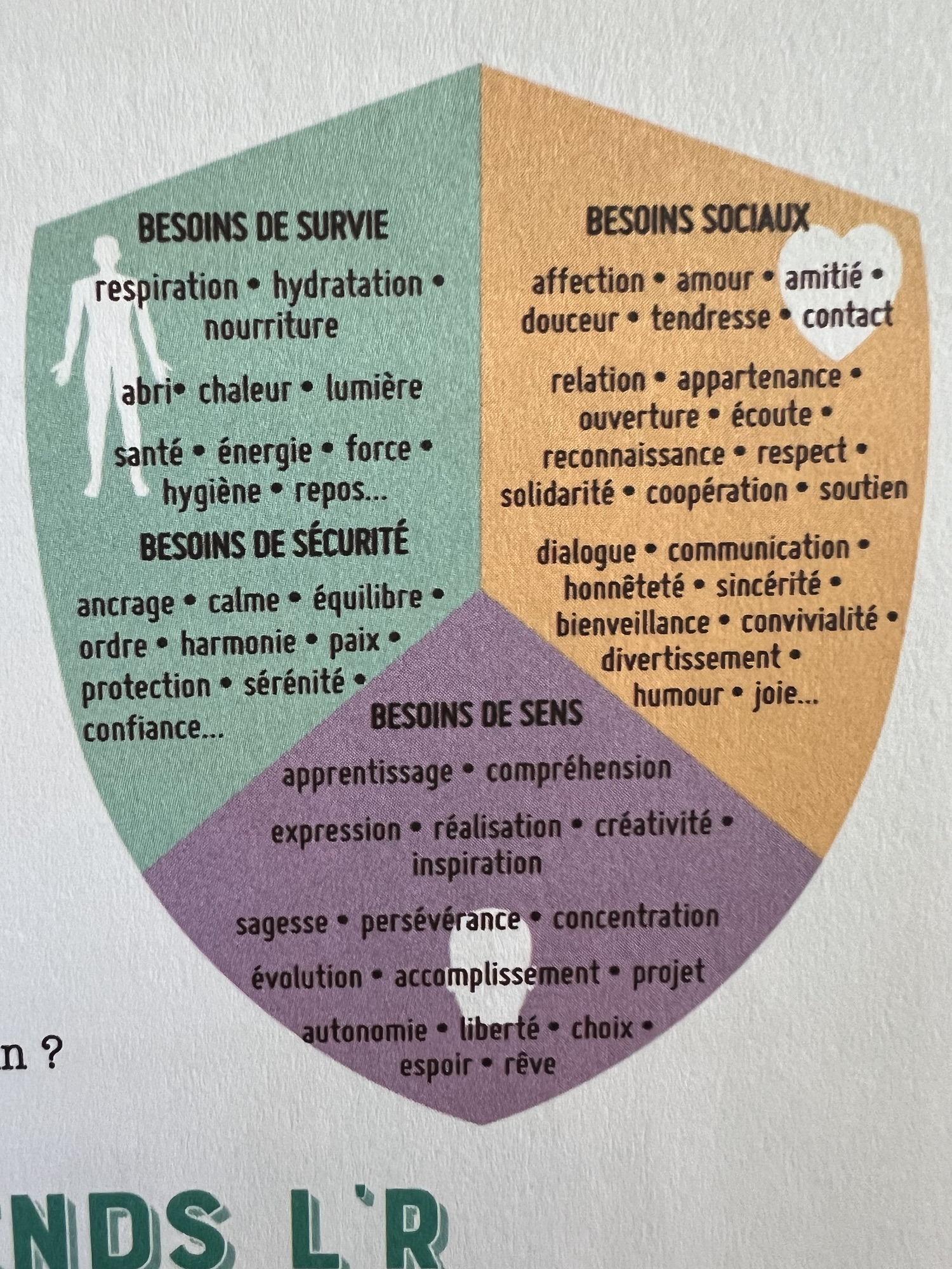 Activité ado : le blason des besoins - Papa positive